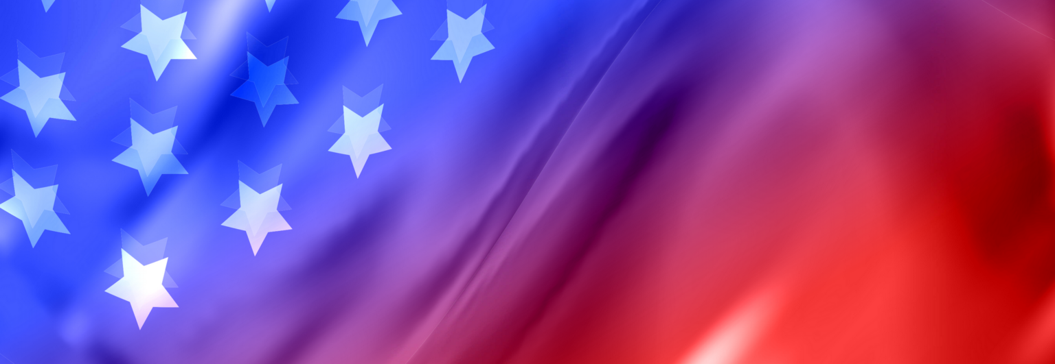 US Insights - Check-the-box election - Blick Rothenberg