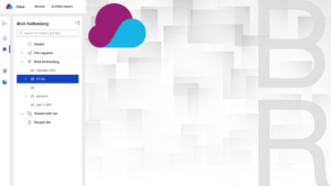 Cozone Drive - help - Blick Rothenberg